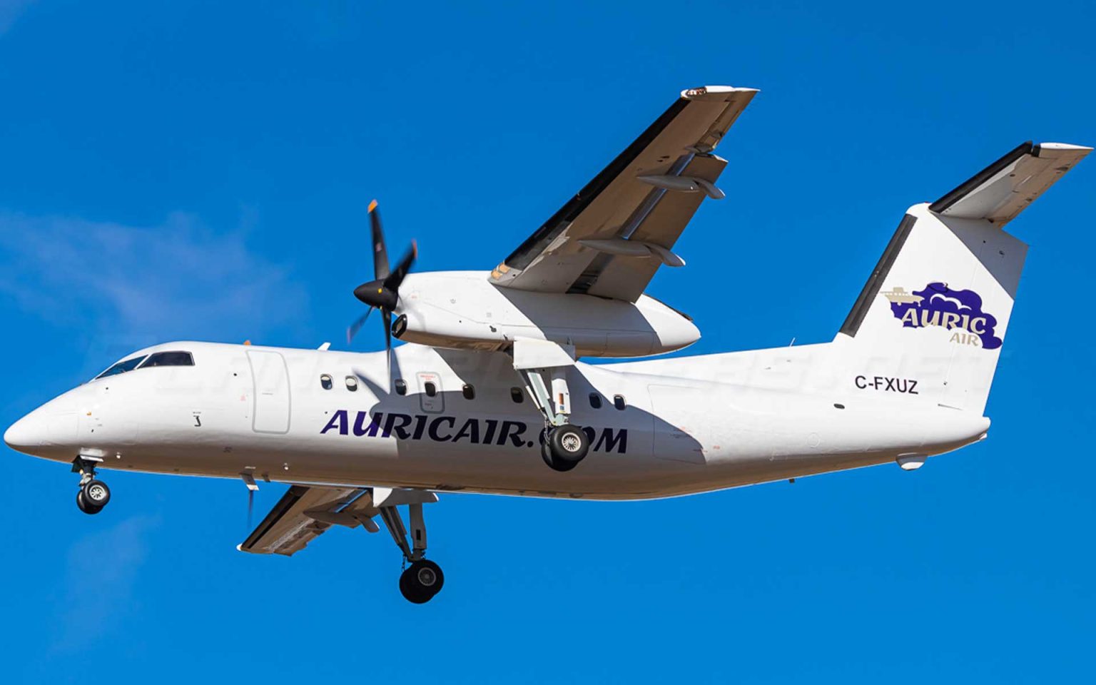 Delight in the Allure of Bukoba | Safarisoko